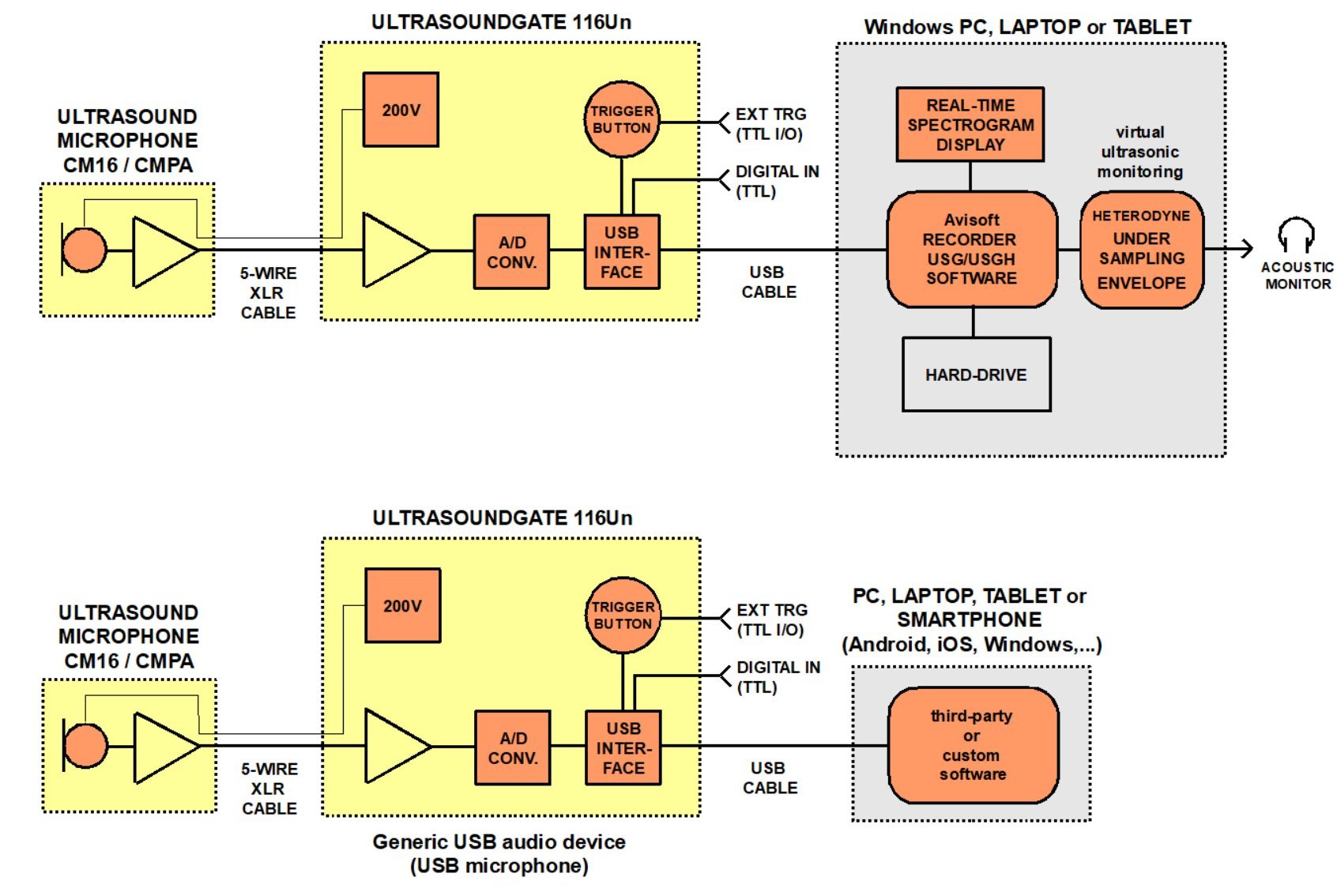 116Un - Avisoft Bioacoustics